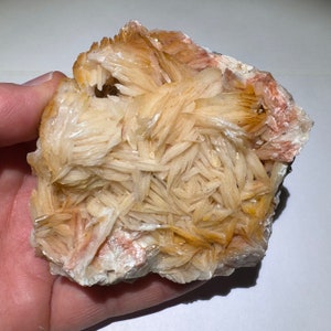 14pc Lot Full Flat of Barite Flowers With Vanadinite & Cerussite ...