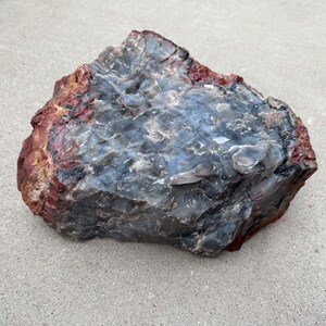 Rare 22lb Giant Raw Arizona Agatized Petrified Wood Fossil Centerpiece ...