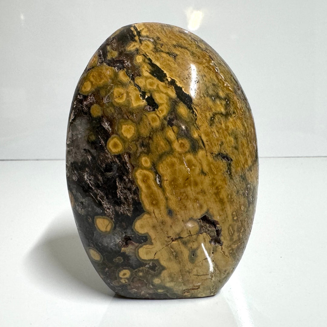 Rare 4.6” Large Yellow Kabamba Ocean Jasper With Quartz Crystal ...