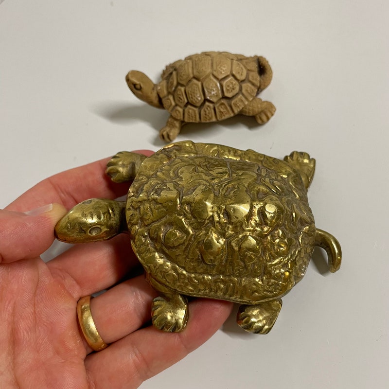 Turtle Jewelry Box - Etsy