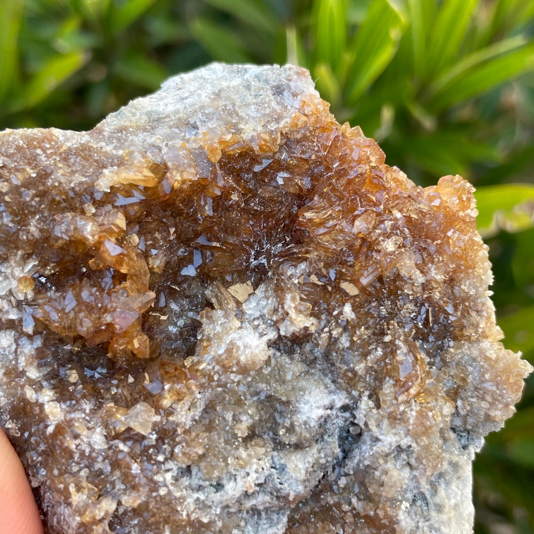 Rare 3” California Honey Colemanite Crystal Cluster 147g Old Stock ...