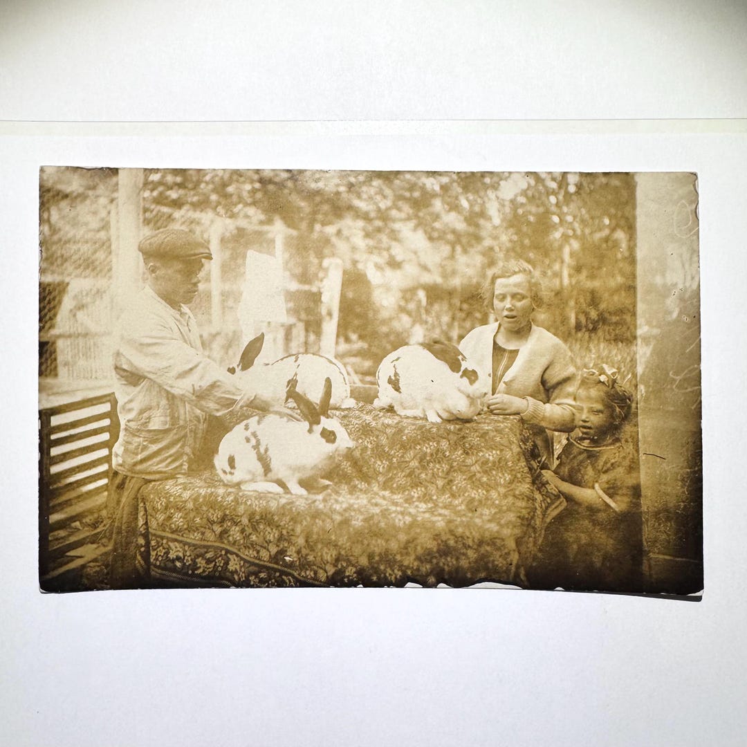 Rare Antique Outdoor Photograph Family With Bunny Rabbits Vintage Early ...