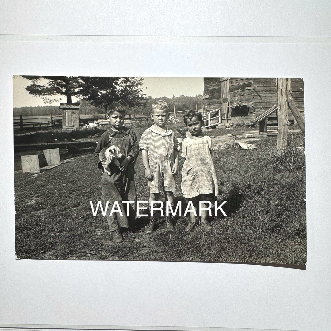 Rare the Great Depression Vintage Photograph of Children & Dog Original ...