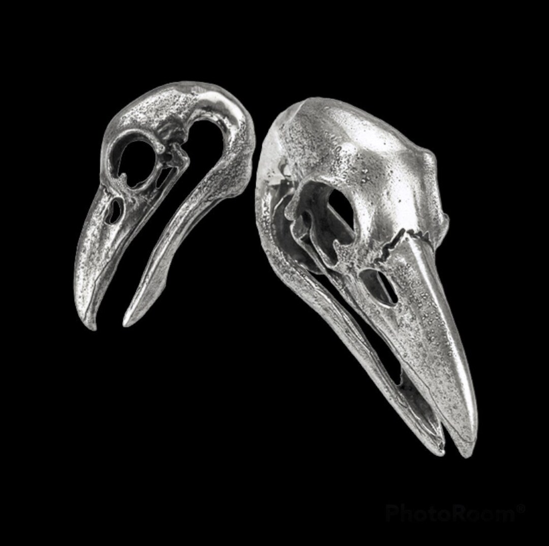Bird Skull Ear Weights-white Brass Ear Weights- Raven Skull Ear Weight ...