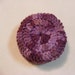 Crocheted Ear Muffs, Ear Muffs, Ear Warmers, Purple Ear Muffs - Etsy