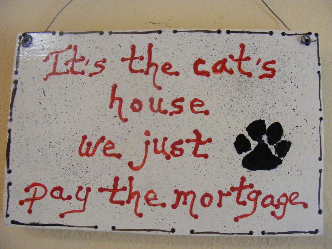 Hand Painted Cat Lover Sign: Funny Cat Saying Wall Hanging - Etsy