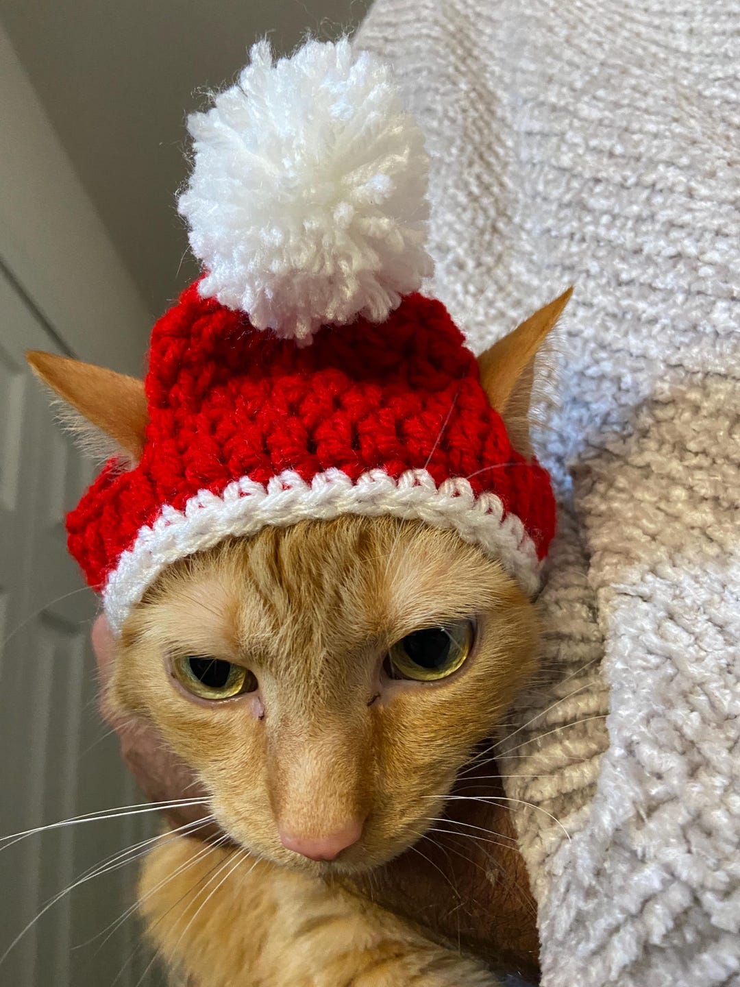 Pet Costume, Cat Hat, Dog Hat, Santa Cat Hat, Santa Dog Hat, Christmas ...