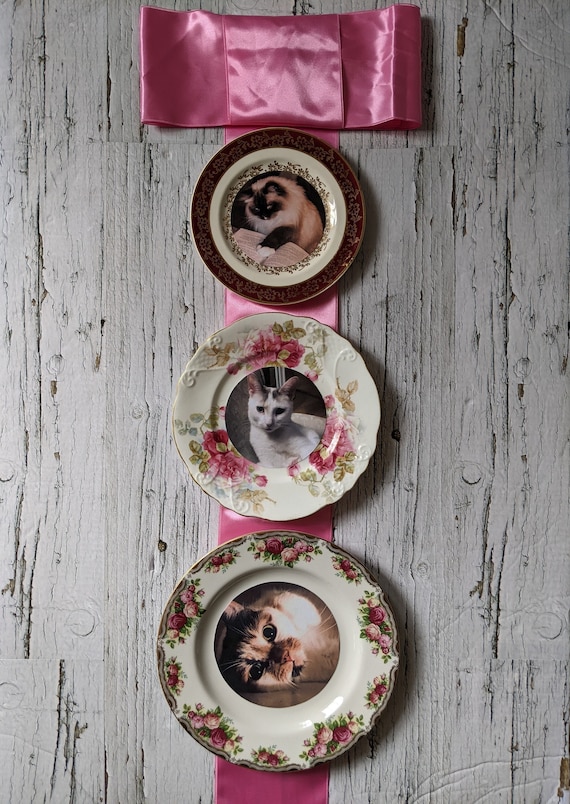 Customizable Cat Plates - Etsy