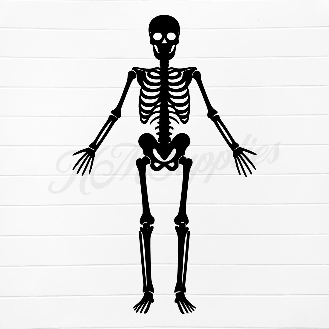 Skeleton Silhouette Svg, Skeleton Png Designs, Skeleton Svg File ...