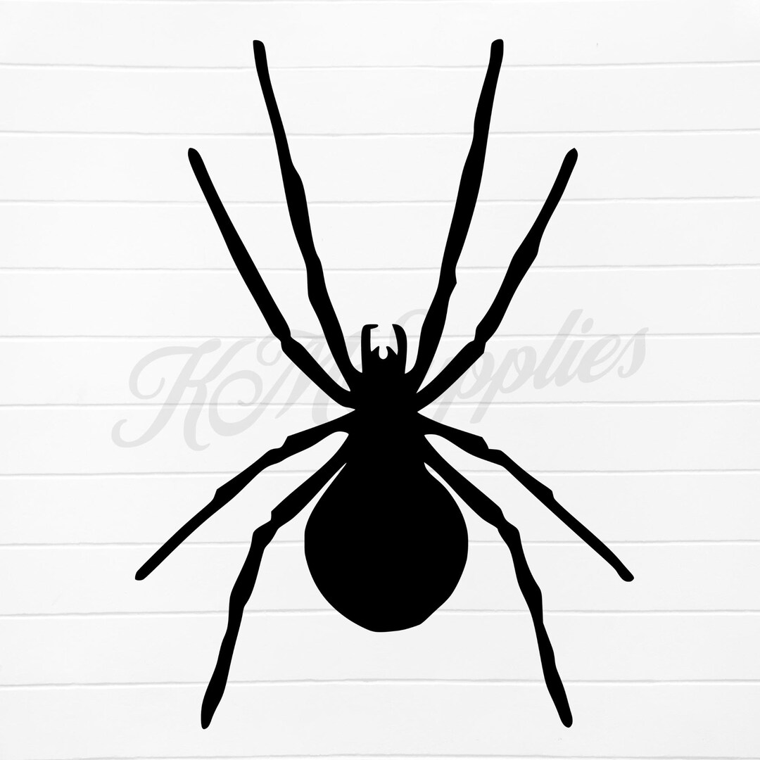 Spider Svg, Spider Svg Vector, Spider Png, Spider Clipart, Spider Clip ...
