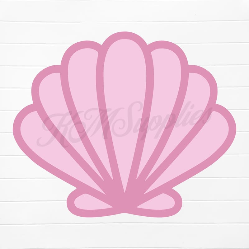 Seashell Drawing Prints - Etsy