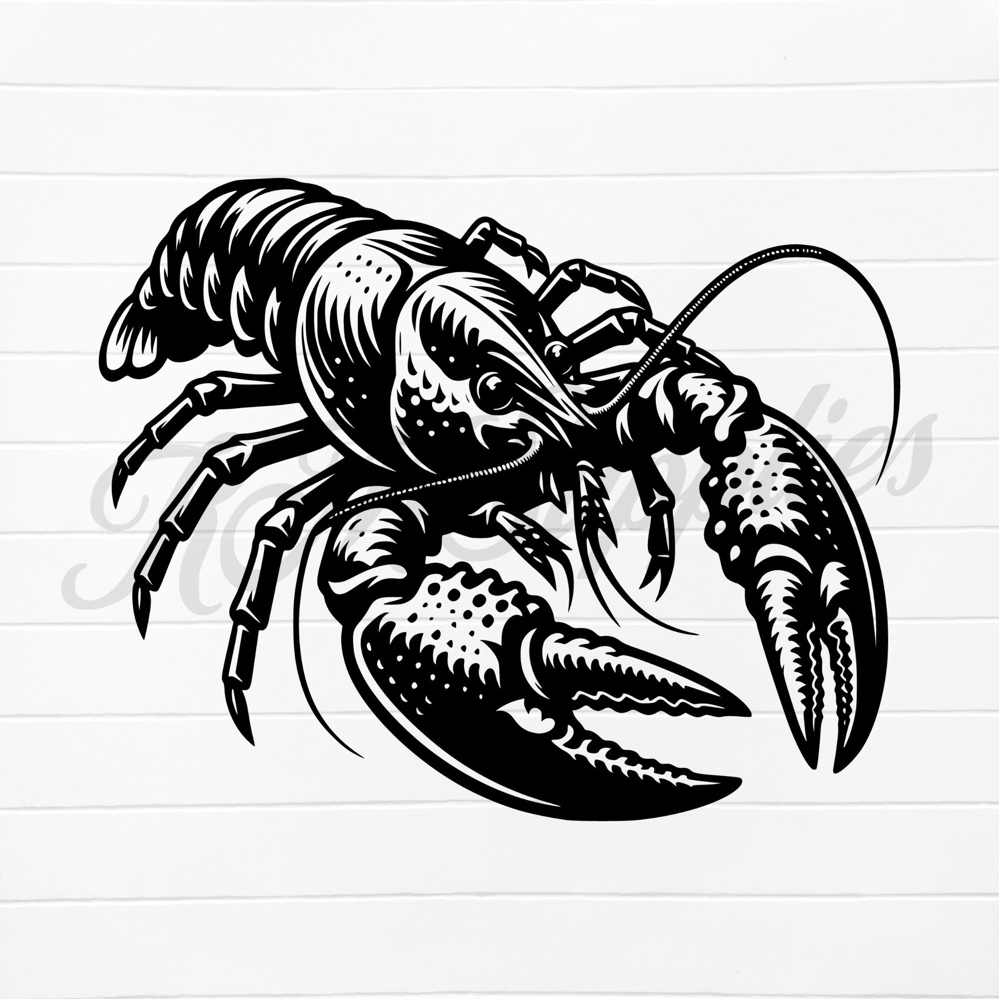 Crawfish Svg Files, Crawfish Svg, Crawfish Png, Crawfish Png File ...