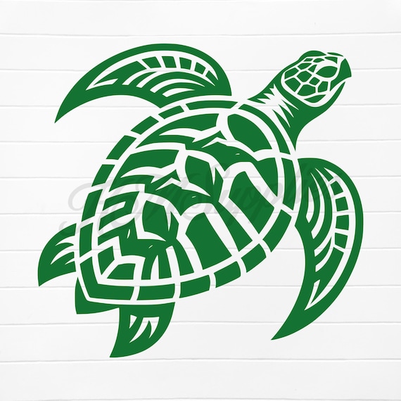 Sea Turtle Shell Clip Art