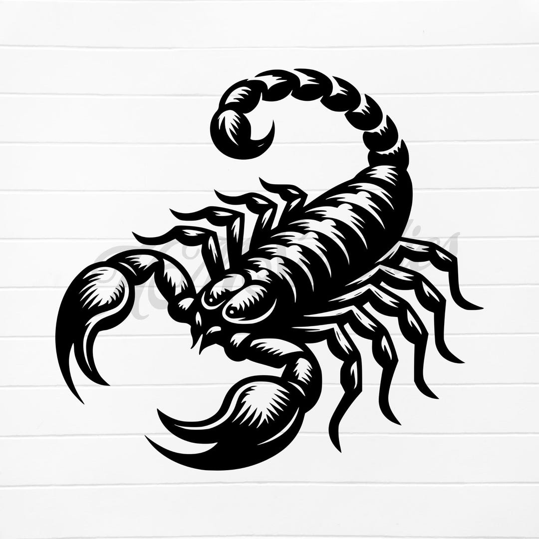 Scorpion Svg, Scorpion Svg Files, Scorpion Png, Scorpion Clipart, Svg ...