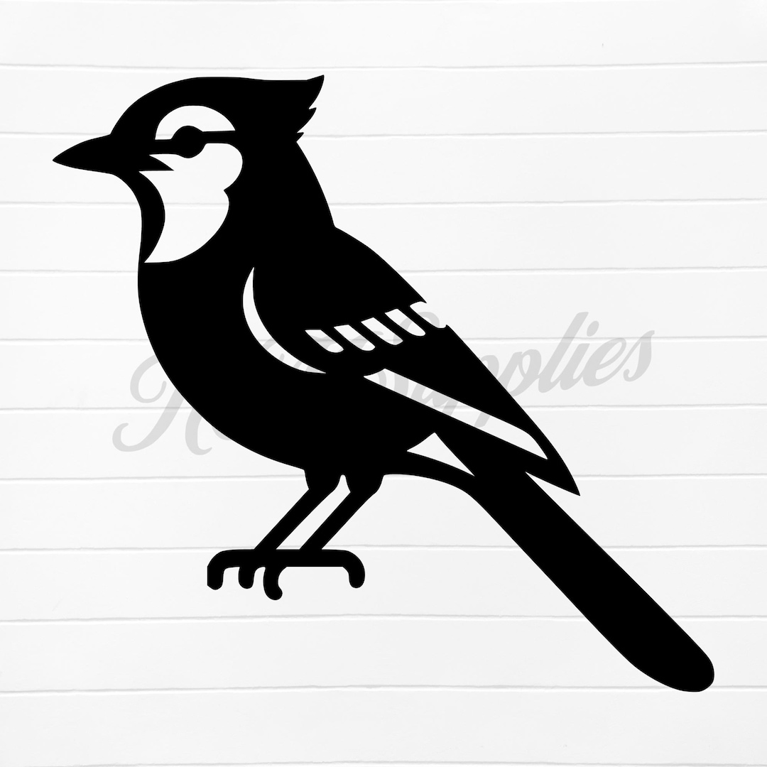 Blue Jay Svg Silhouette, Blue Jay Png, Blue Jay Clip Art, Blue Jay ...