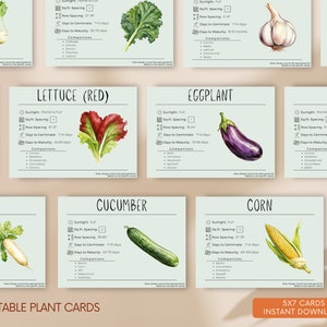 Vegetable Plant Cards With Planting Information - 5x7" Download - Sun ...