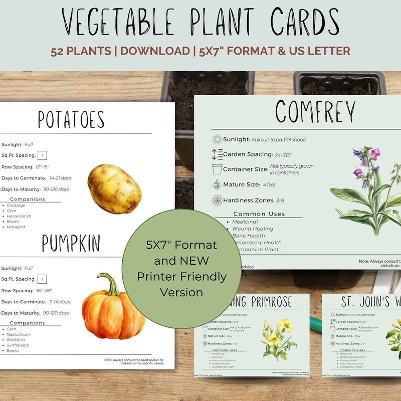 Vegetable Cards - Etsy