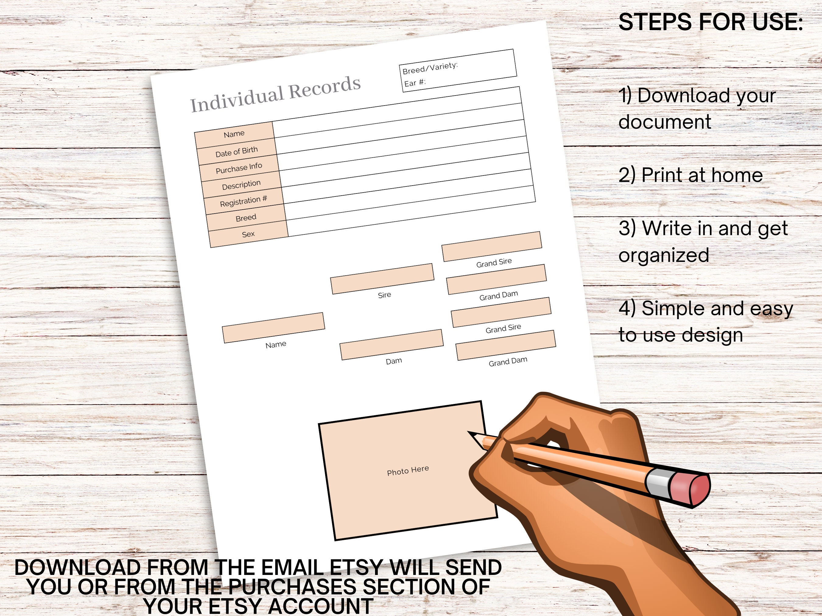 Rabbitry Log and Planner 40 Pages Dated and Undated Calendar Rabbit ...