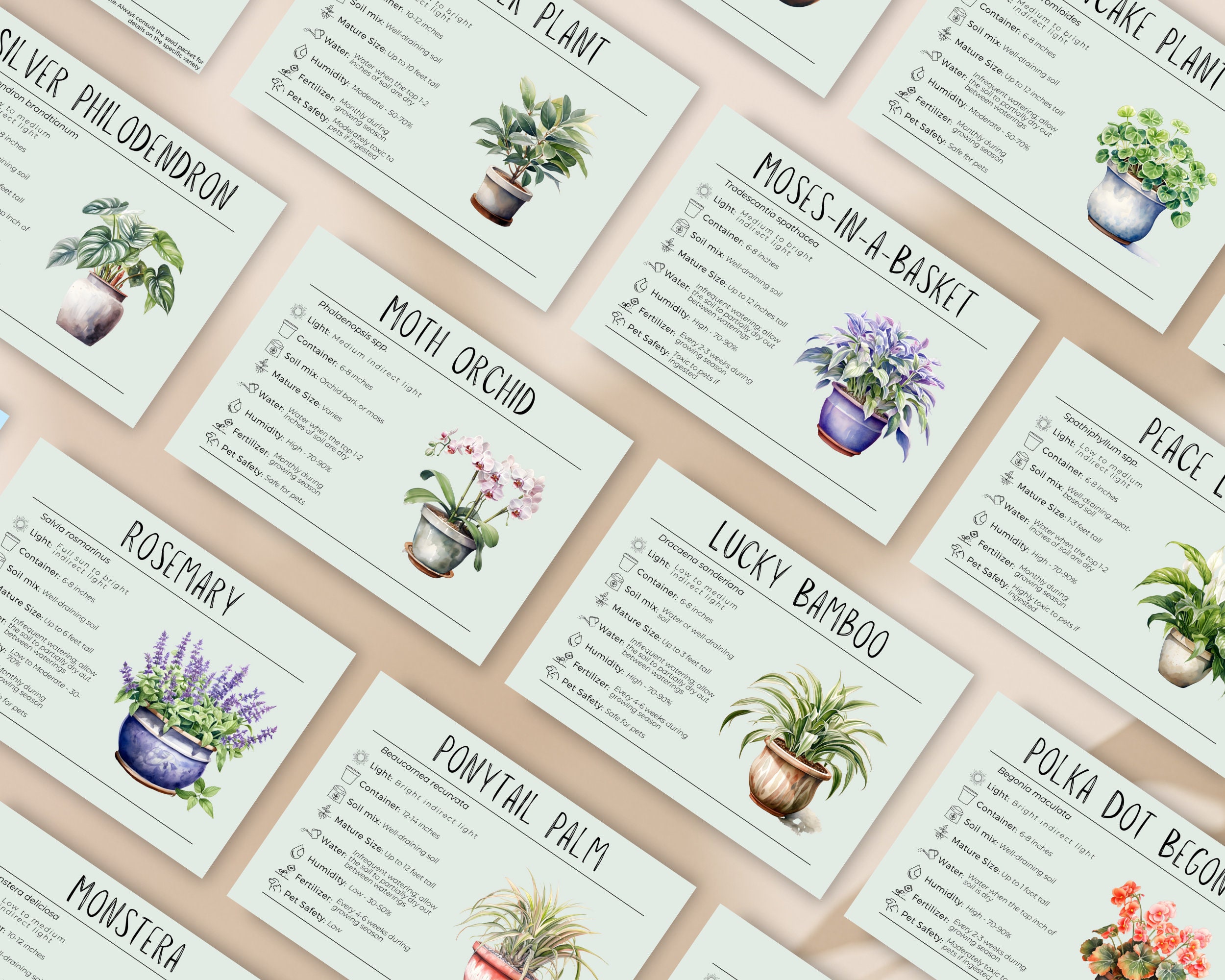 Indoor Houseplant Cards With Planting Information - 5x7" Download ...