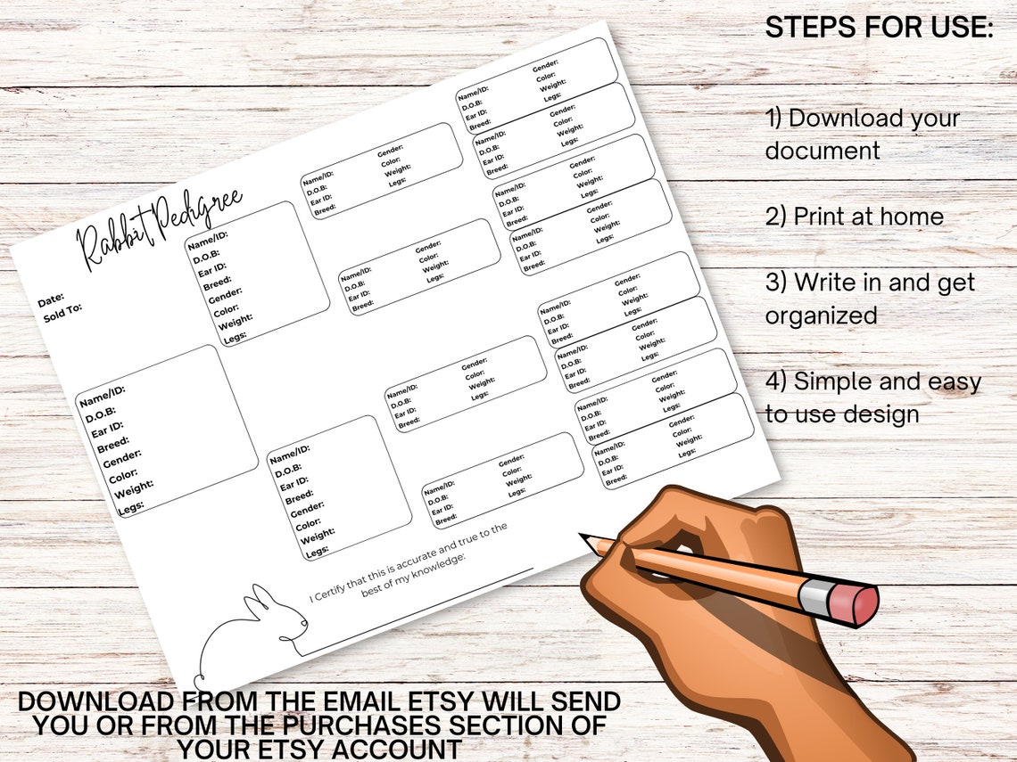 Rabbit Pedigree Chart Template Editable in Canva, US Letter Size ...