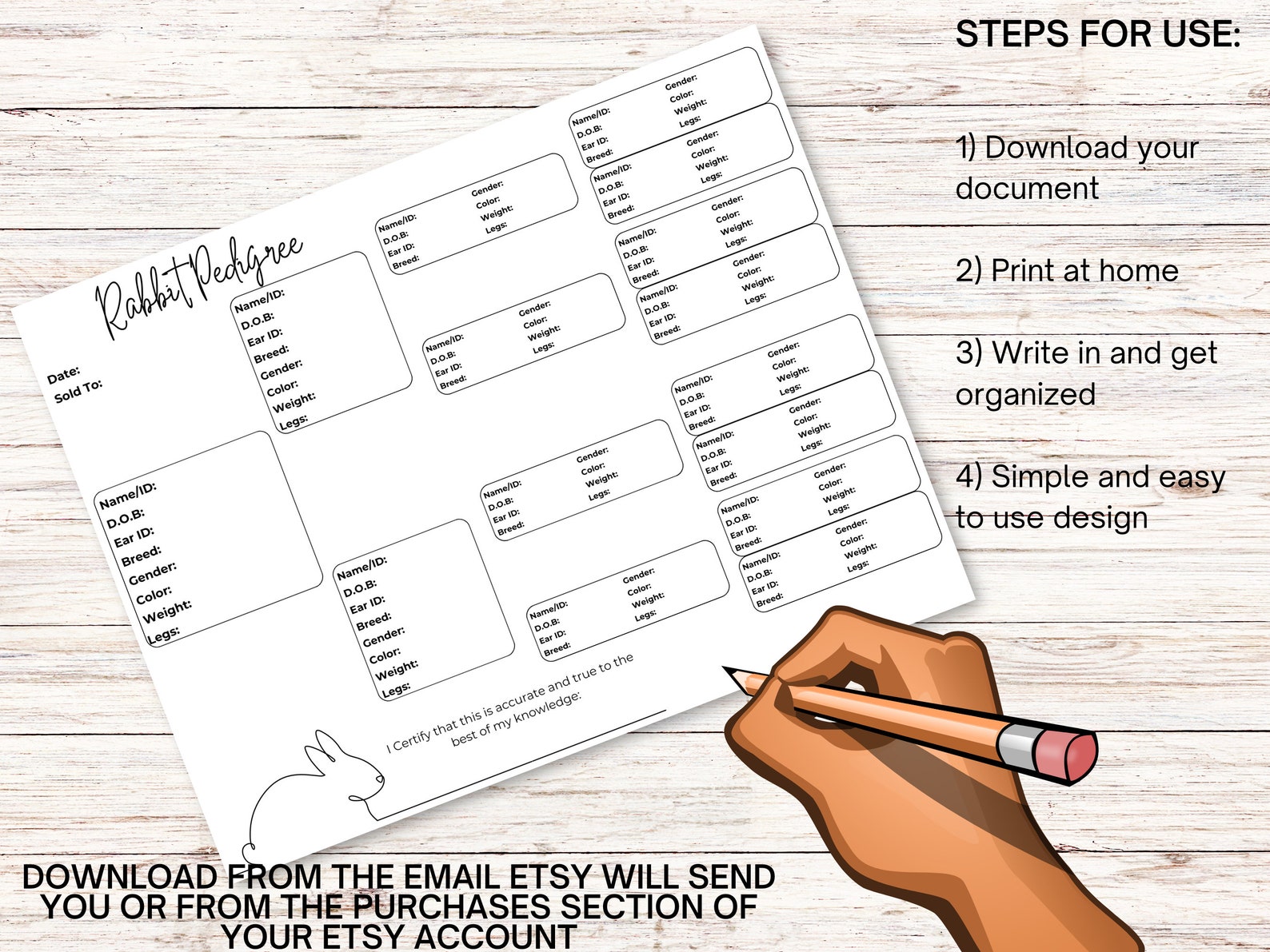Rabbit Pedigree Chart Template Editable in Canva, US Letter Size ...