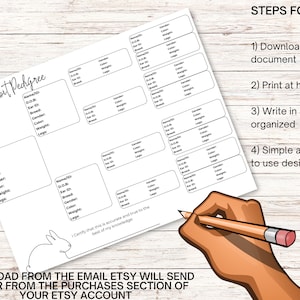 Rabbit Pedigree Chart Template Editable in Canva, US Letter Size ...