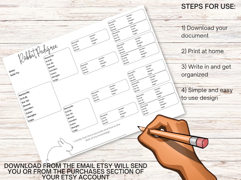 Rabbit Pedigree Chart Template Editable in Canva, US Letter Size ...