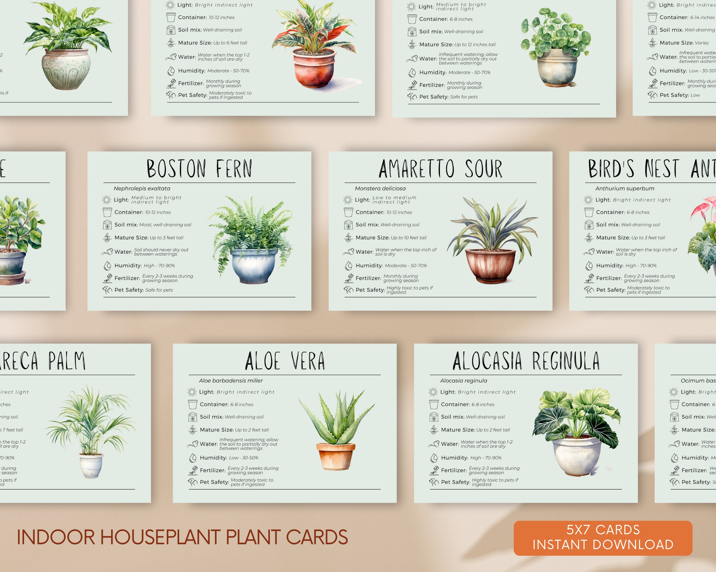 Indoor Houseplant Cards With Planting Information - 5x7" Download ...