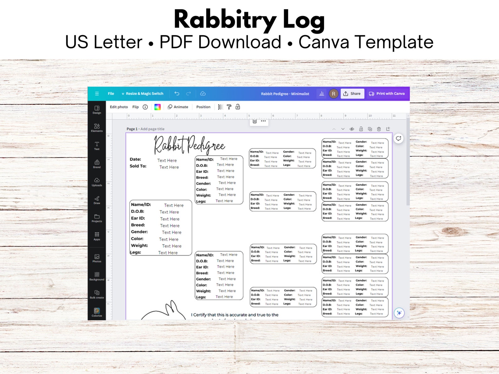 Rabbit Pedigree Chart Template Editable in Canva, US Letter Size ...