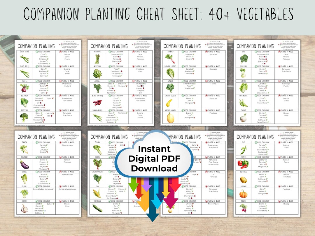 Companion Planting Guide - 40+ Plants! - Printable Planner and ...