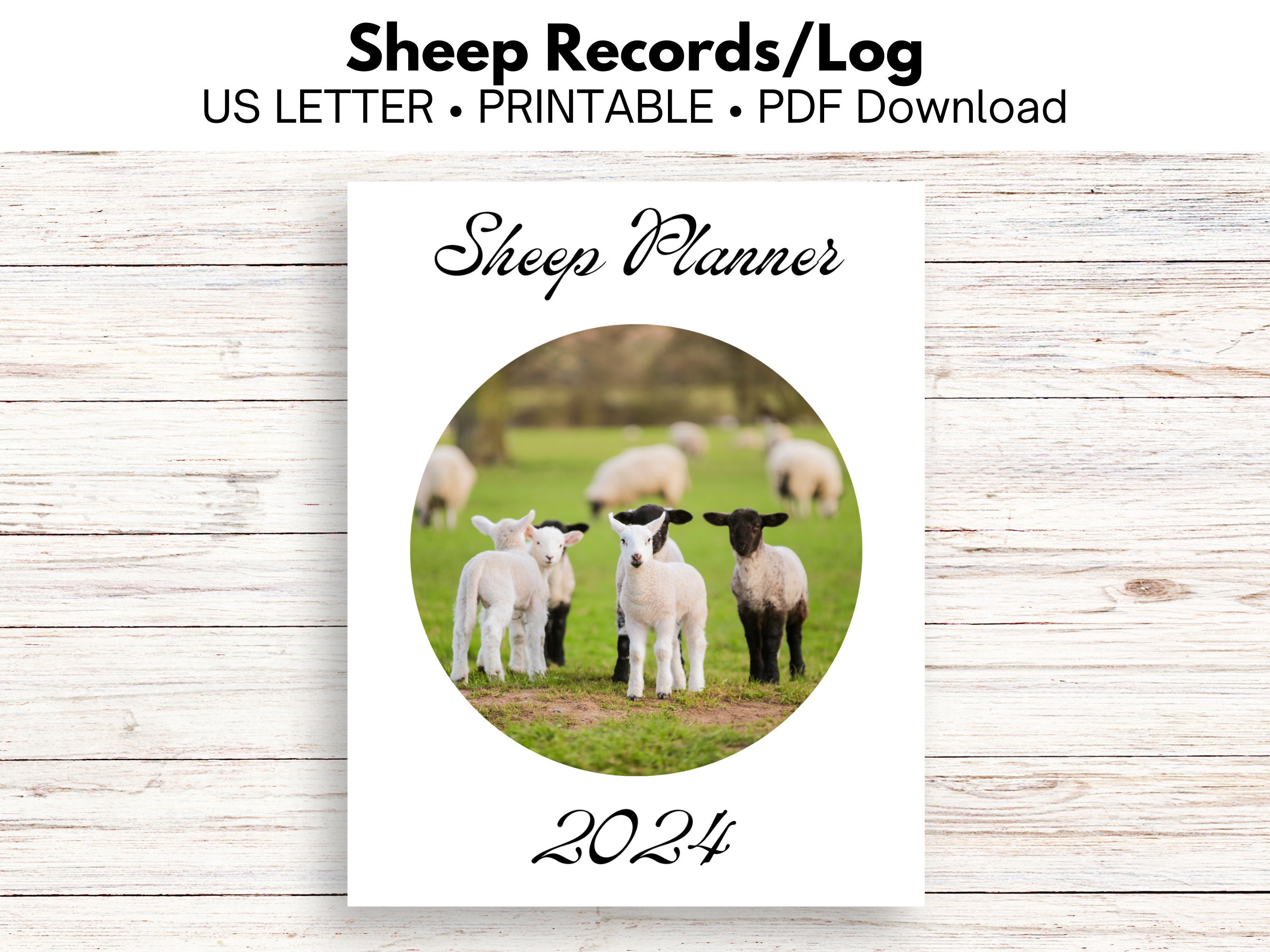 Sheep Record Log PDF 45 Pages, Multiple Cover Designs, Breeding Records ...