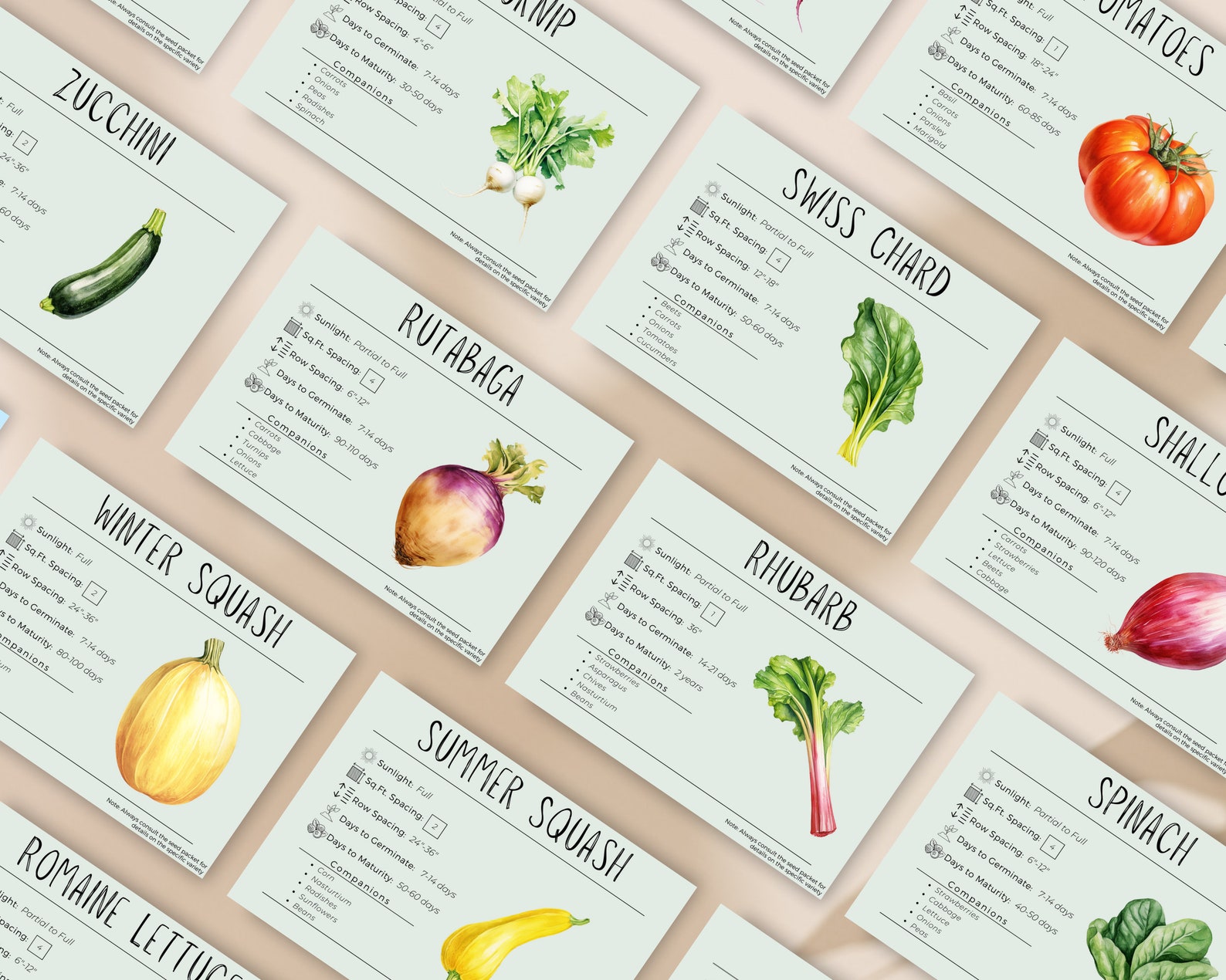 Vegetable Plant Cards With Planting Information - 5x7" Download - Sun ...