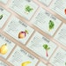 Vegetable Plant Cards With Planting Information - 5x7" Download - Sun ...