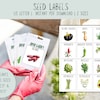 Vegetable Plant Cards With Planting Information 5x7 Download Sun ...