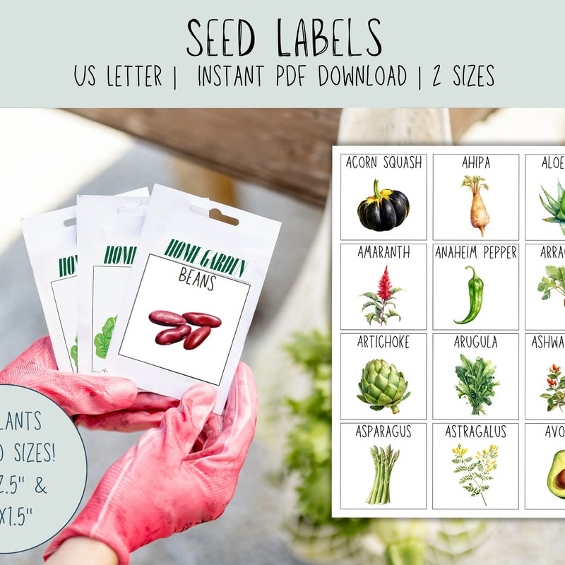 Plant Labels - Etsy