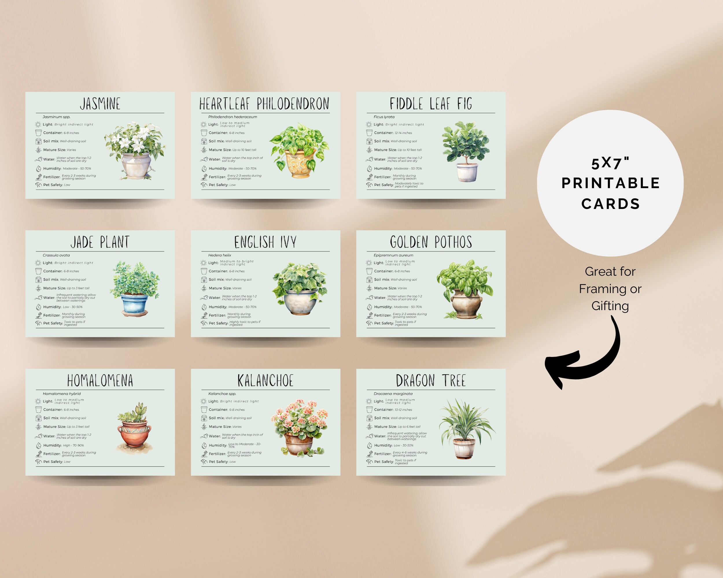 Indoor Houseplant Cards With Planting Information - 5x7" Download ...