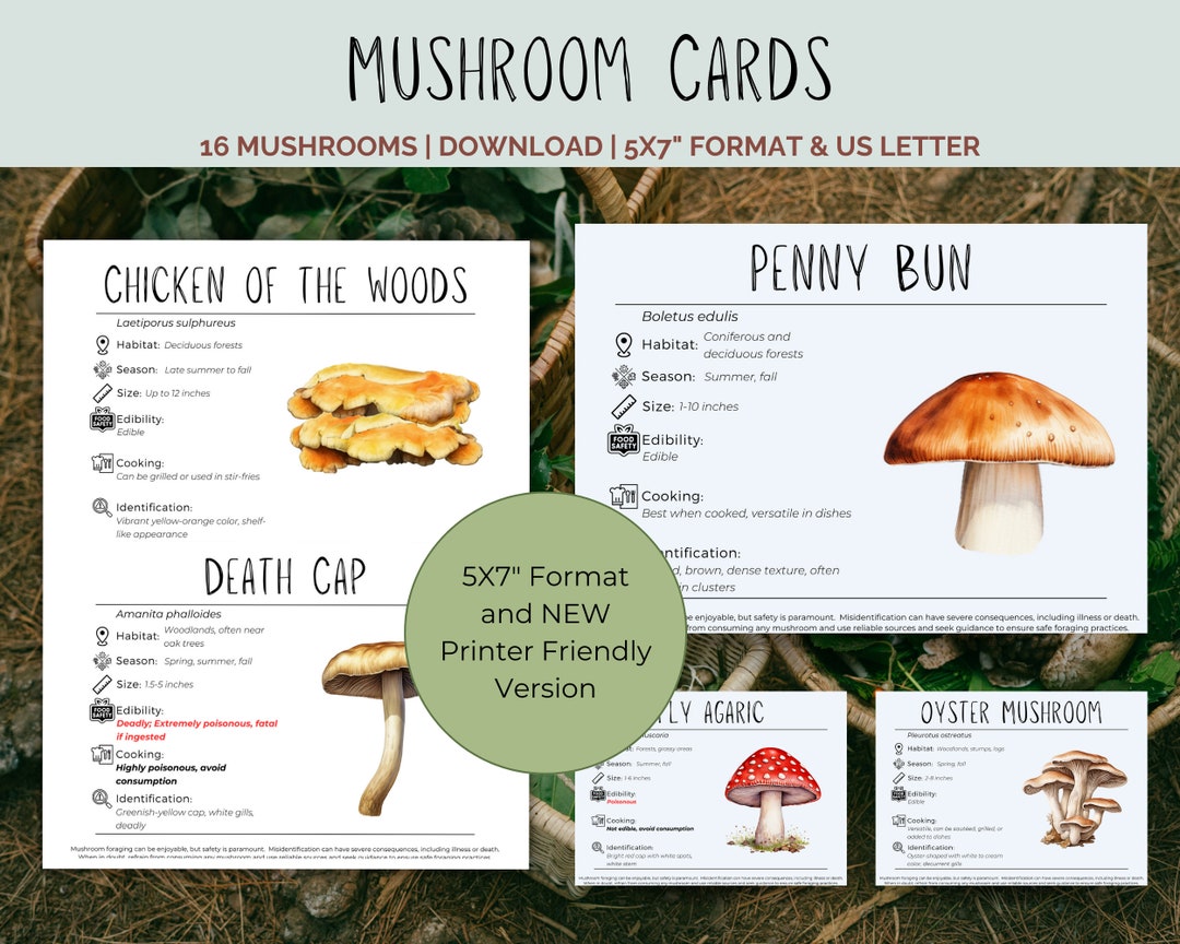 Mushroom Cards With Foraging Info - 5x7" Download - Habitat, Season ...