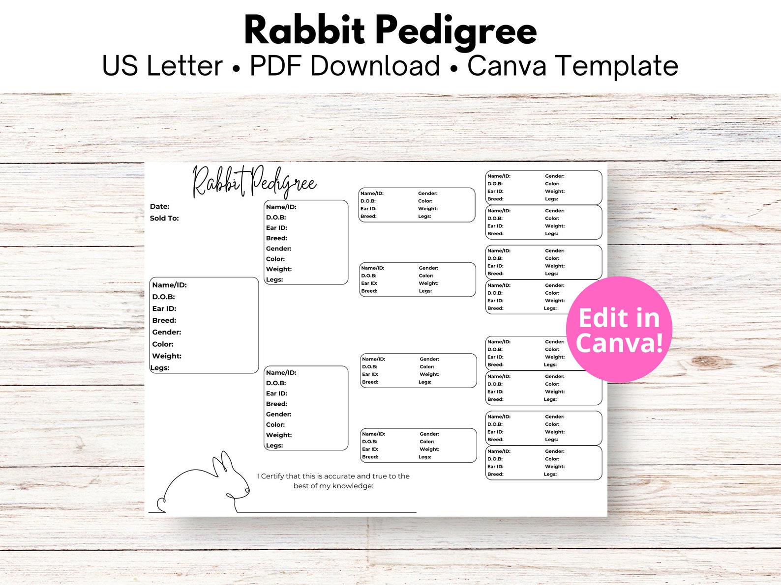 Rabbit Pedigree Chart Template Editable in Canva, US Letter Size ...