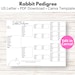 Rabbit Pedigree Chart Template Editable in Canva, US Letter Size ...