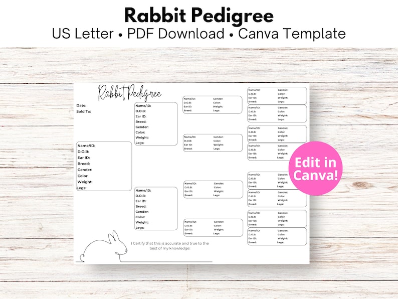Rabbit Pedigree Chart Template Editable In Canva Us Letter Size Instant Download Diy Bunny