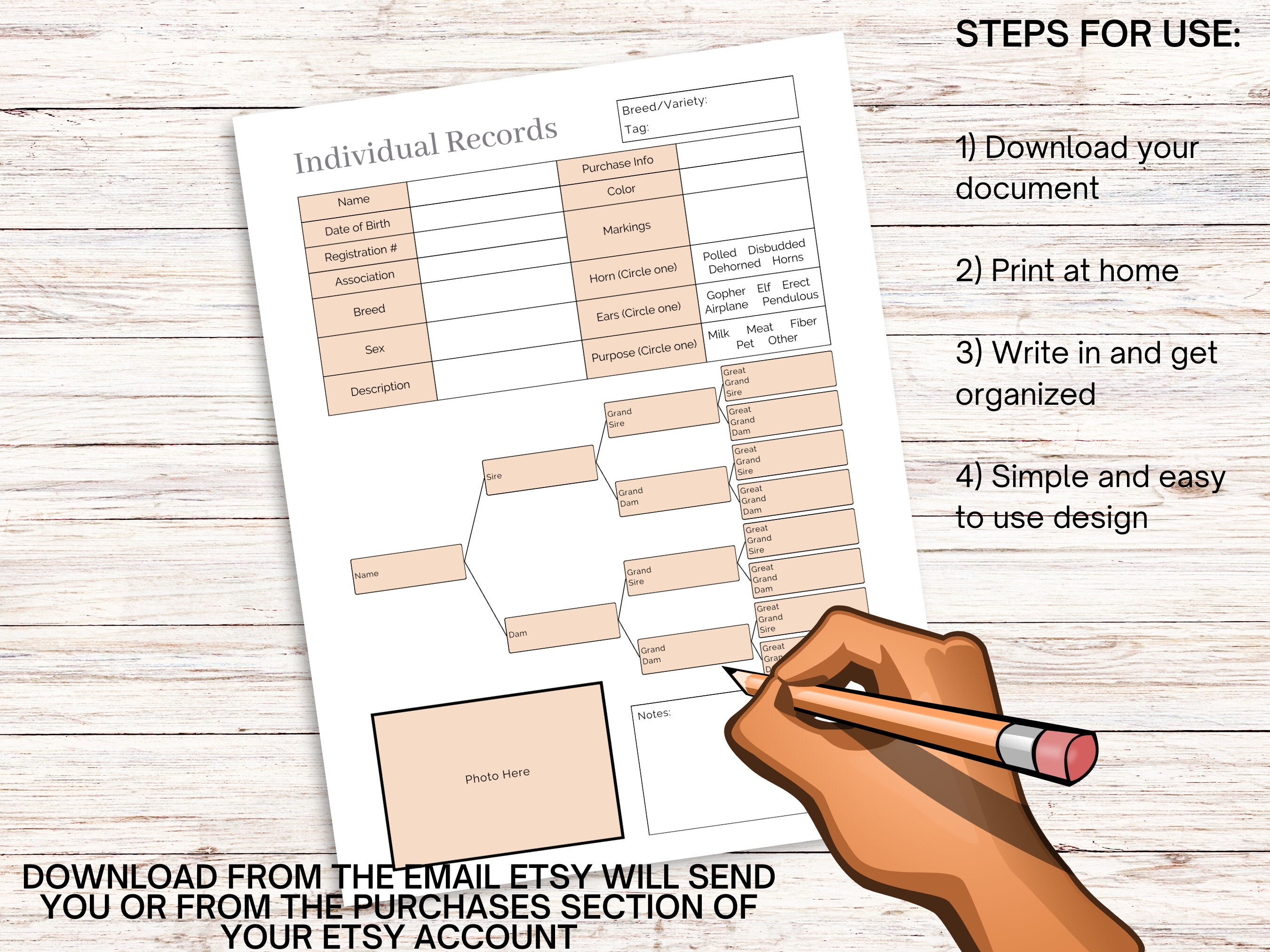 Sheep Record Log PDF 45 Pages, Multiple Cover Designs, Breeding Records ...
