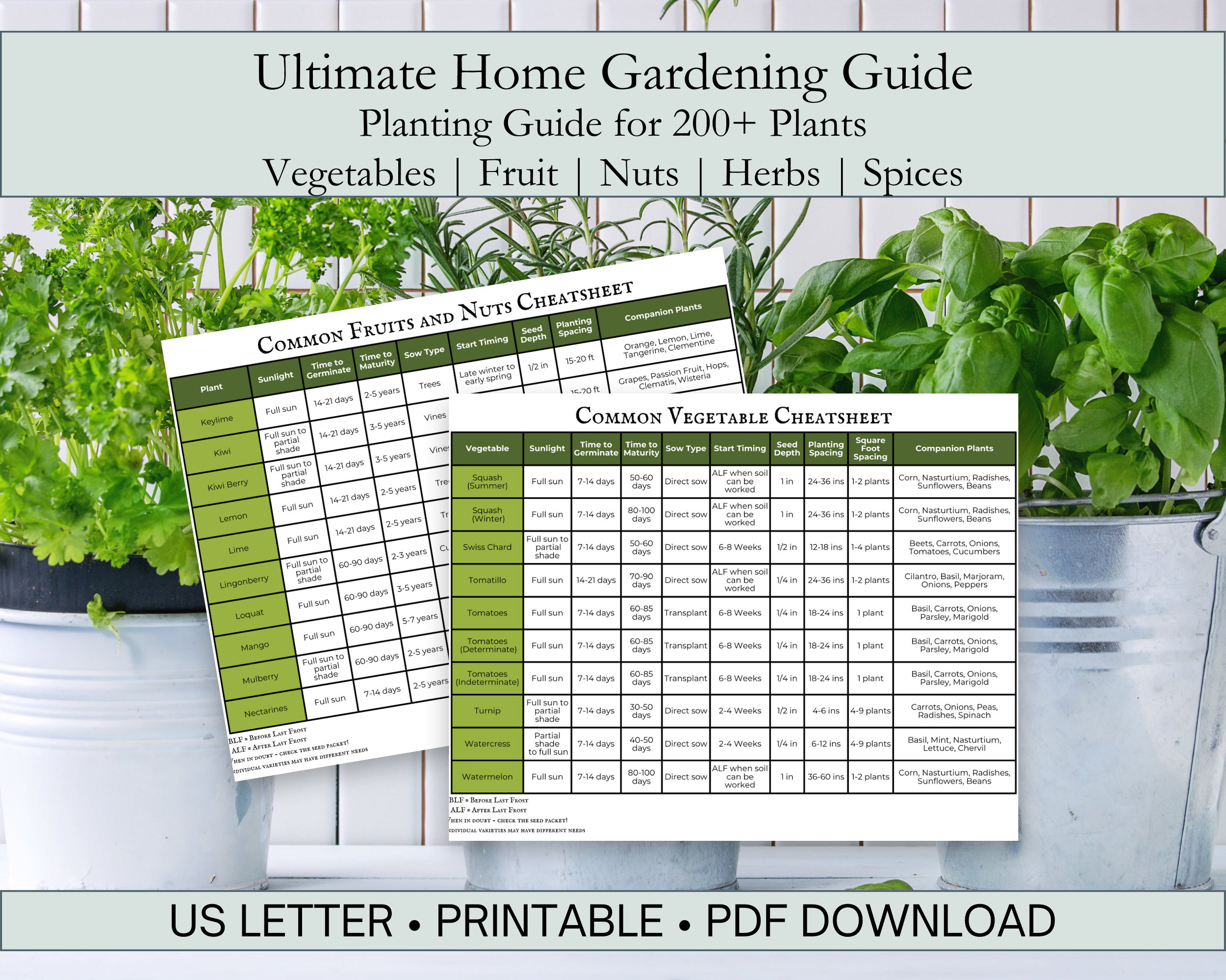 Garden Guide Bundle Vegetable & Medicinal Plant Cards, Square Foot ...