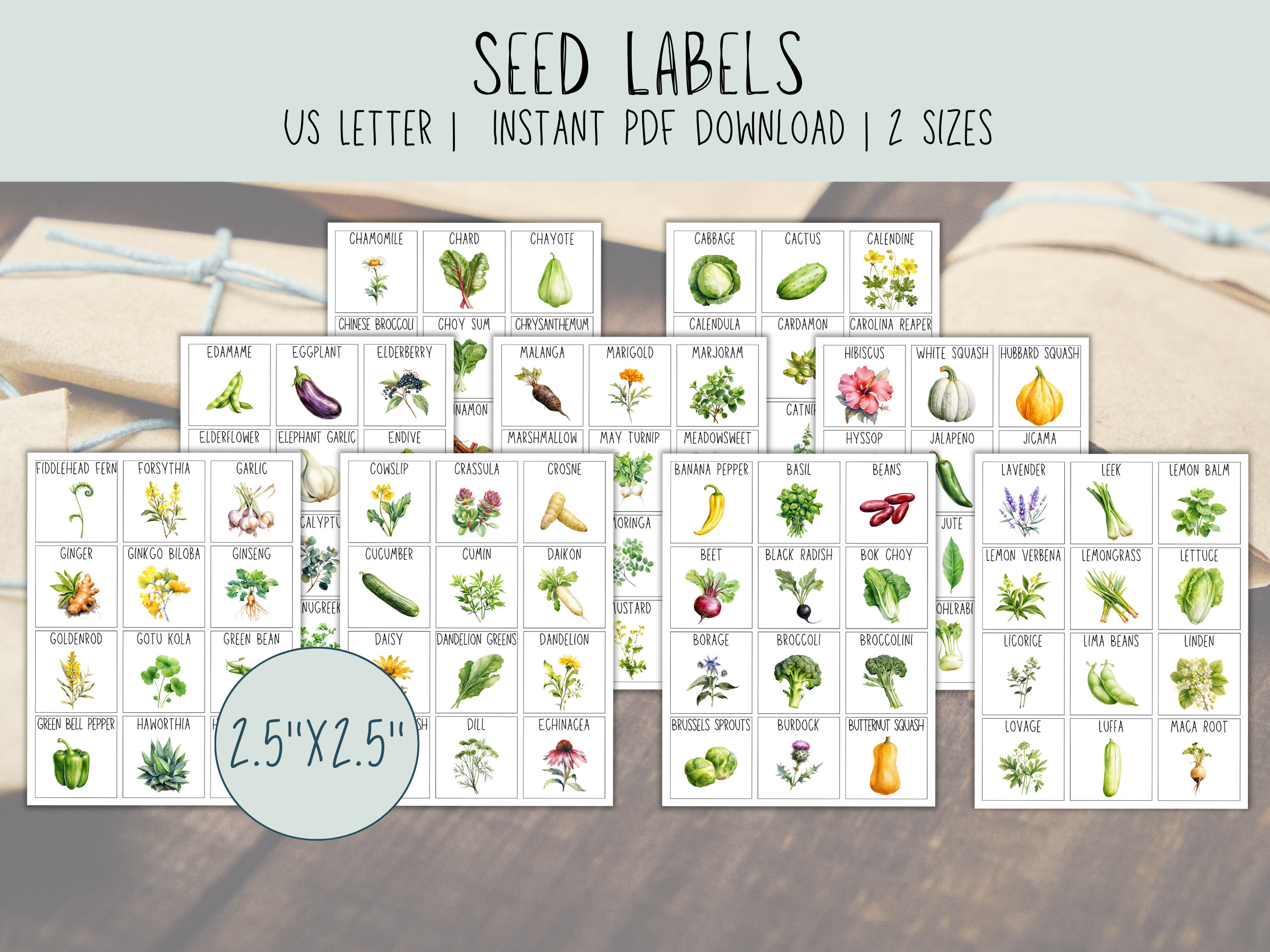 Garden Seed Pack Labels and Plant Markers 164 Colorful Vegetable & Herb ...