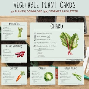 Vegetable Plant Cards With Planting Information - 5x7" Download - Sun ...