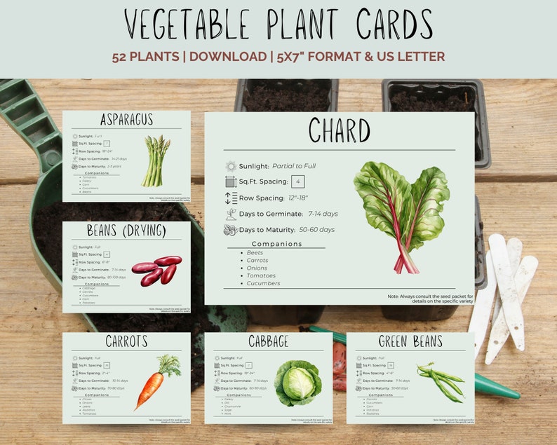 Vegetable Plant Cards With Planting Information - 5x7" Download - Sun ...