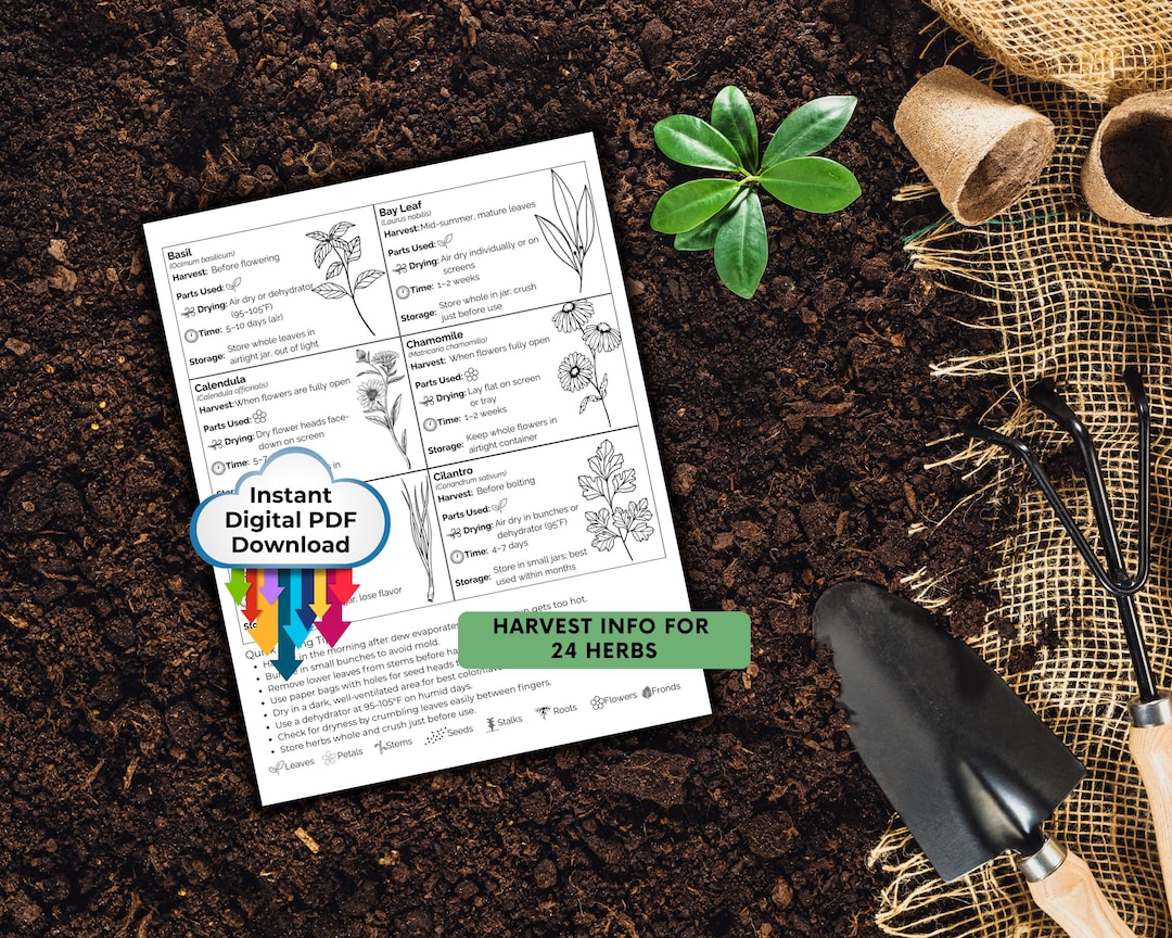Herb Drying Chart Printable | 4-page Guide for Herbs | Air Drying ...