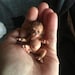 Baby Zecca Miniature Hand-sculpted in Acetic Silicone | Realistic and ...