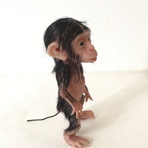 Baby Chimpanzees Mini - Etsy UK