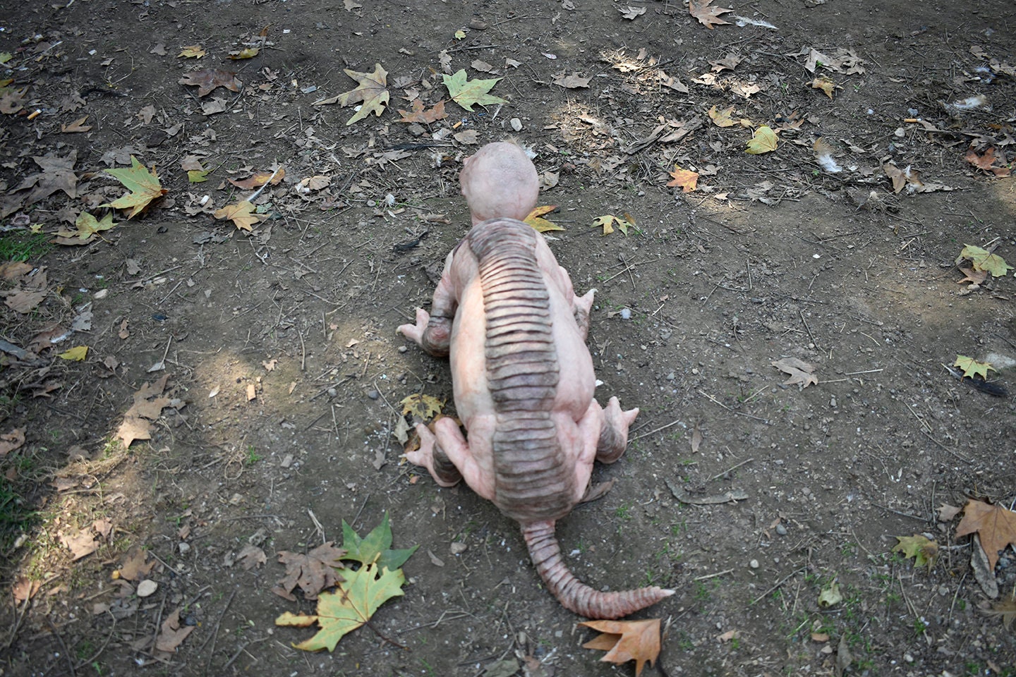 Handcrafted Armadillo Silicone Sculpture | Unique Realistic Animal Art ...