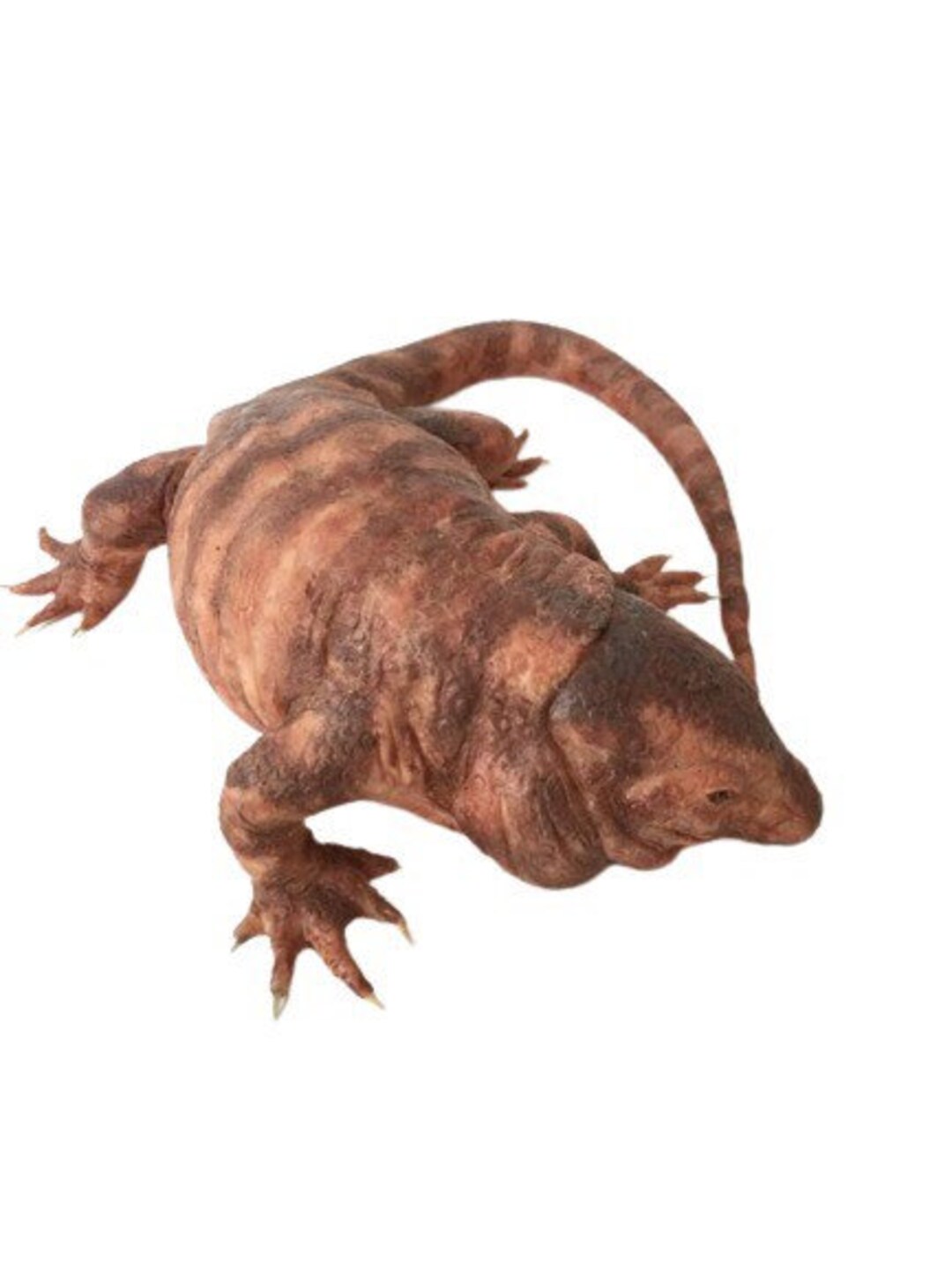 Lizzy the Lizard chile Red Tegu - Etsy